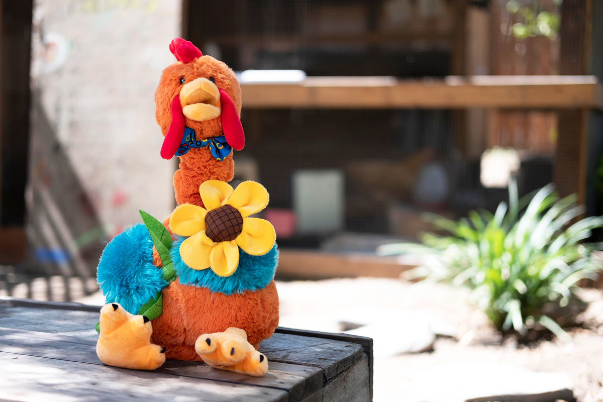 Everyday Fun – Cuddle Barn